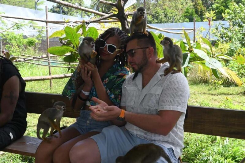 Puerto Plata: Damajagua Waterfalls and Monkeys Adventure - Value and Overall Experience