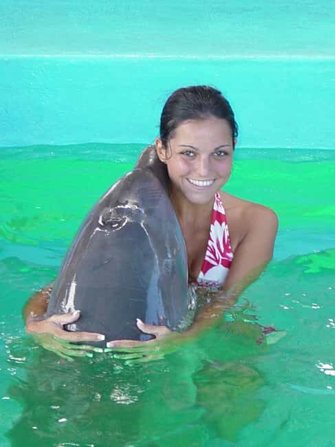 Puerto Plata: Dolphin Encounter at Ocean World - Authentic Feedback from Travelers