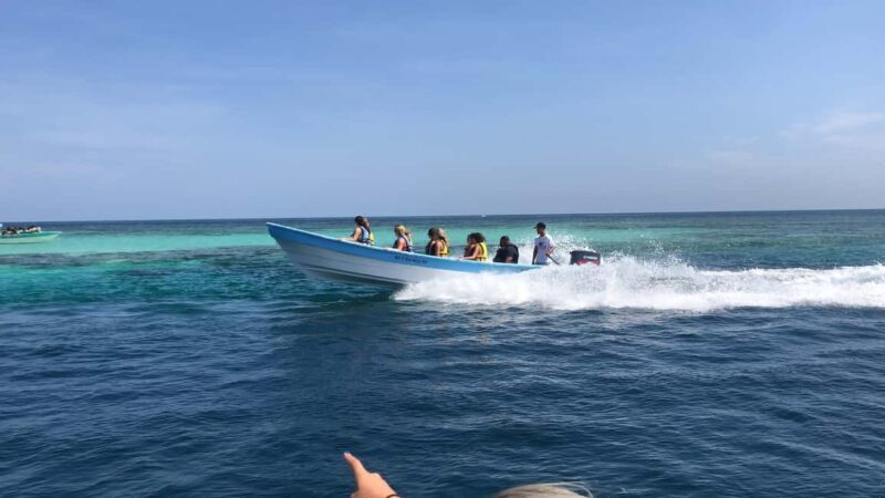 Puerto Plata: Full-day trip to Cayo Arena and Punta Rucia - Authentic Quotes and Traveler Insights