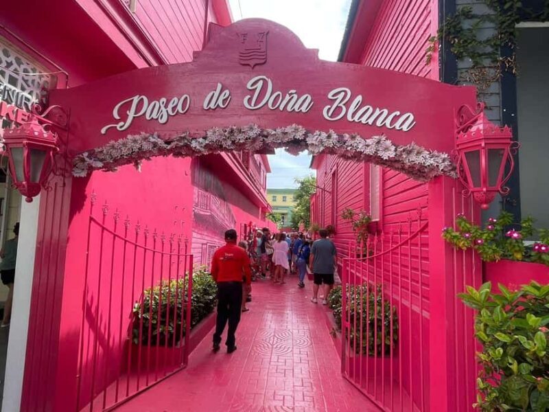 Puerto Plata: Half-Day Historic and Cultural Highlights Tour - Scenic and Cultural Highlights: Umbrella and Pink Streets