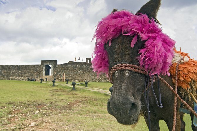 Puerto Plata Highlights and Resort Beach - Amber Cove & Taino Bay - FAQs