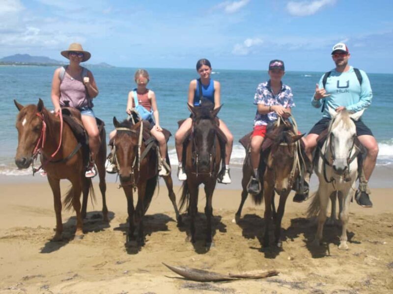 Puerto Plata: Horseback Riding Tour - Practical Details: Timing, Transportation, and Cost