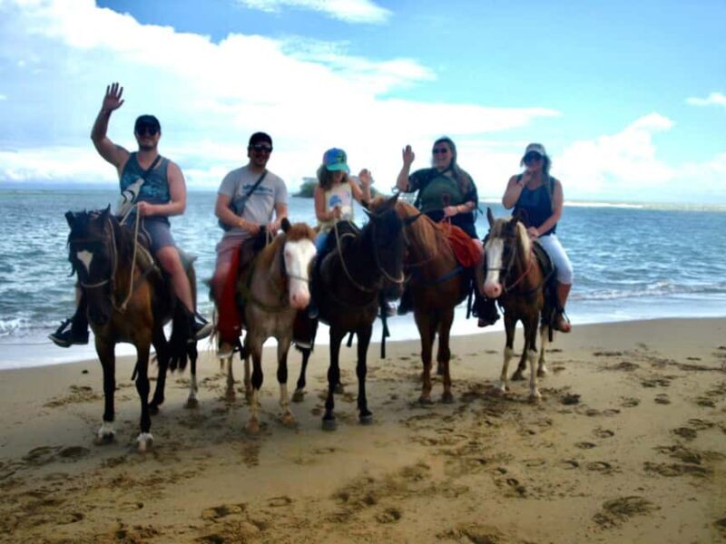 Puerto Plata: Horseback Riding Tour - Who Will Love This Tour?