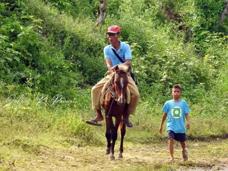 Puerto Plata: Horseback Riding Tour with Beach Views - An In-Depth Look at the Puerto Plata Horseback Riding Tour