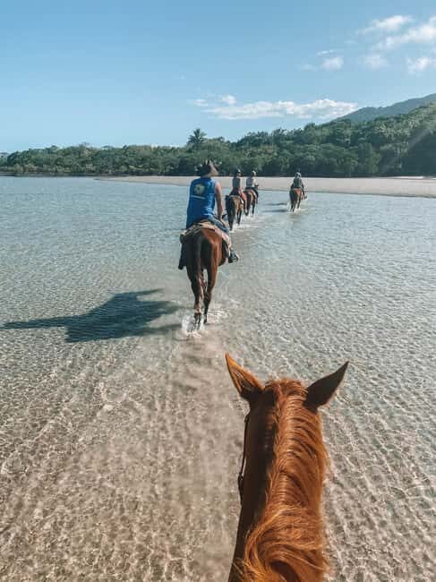 Puerto Plata: Horseback Riding Tour with Beach Views - Final Thoughts