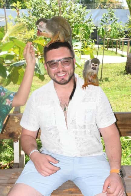 Puerto Plata: Monkey Tour and a Glimpse of Cows and Pigs - Why This Tour Offers Good Value