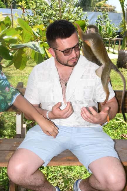 Puerto Plata: Monkey Tour and a Glimpse of Cows and Pigs - Authenticity and Experience