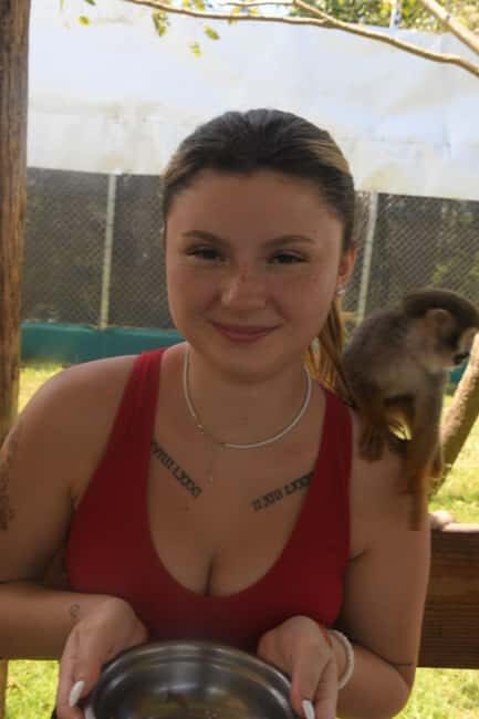 Puerto Plata: Monkey Tour and a Glimpse of Cows and Pigs - Who Will Love This Tour?