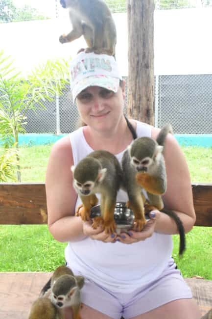 Puerto Plata: Monkey Tour and Dominican History and Culture City Tour - The Value of the Tour