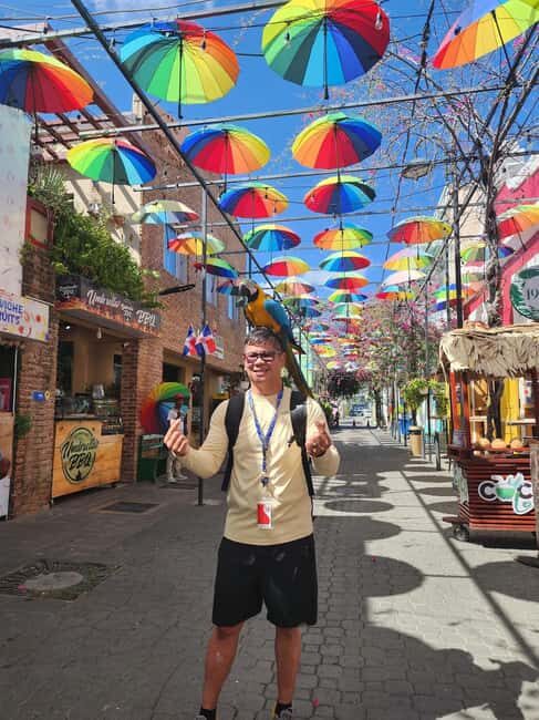 Puerto Plata: Monkey Tour, Fortress, and Historic Center - A Balanced Look at the Puerto Plata Experience