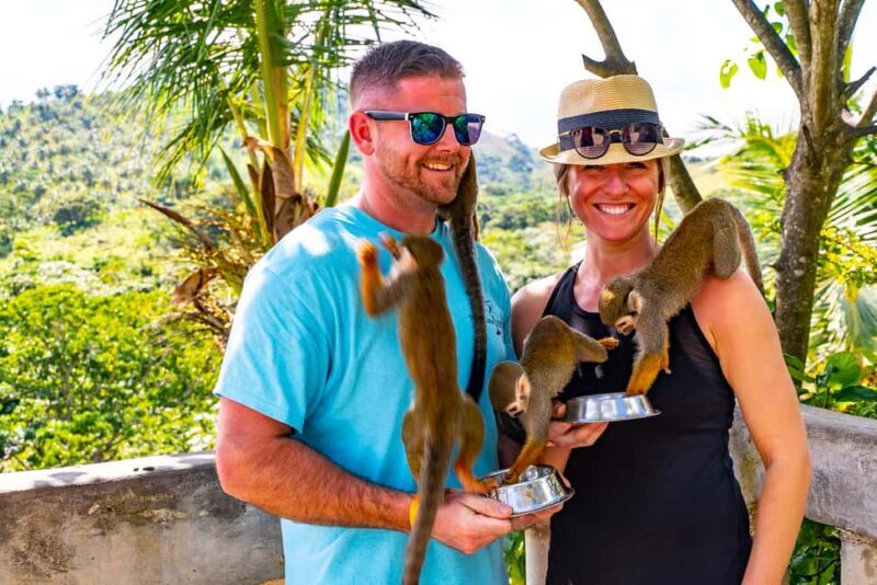Puerto Plata: Monkeyland and Zip-Line Adventure - Key Points