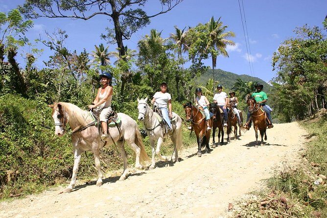 Puerto Plata: Mountain Half Day Horseback Riding - What to Expect from the Puerto Plata Mountain Horseback Tour