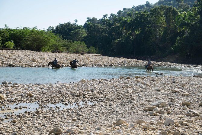 Puerto Plata: Mountain Half Day Horseback Riding - What Past Participants Say