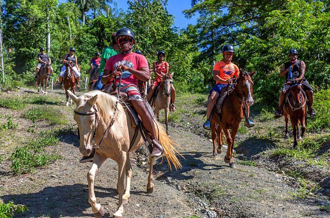 Puerto Plata: Mountain Half Day Horseback Riding - The Sum Up