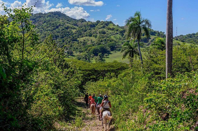 Puerto Plata: Mountain Half Day Horseback Riding - Frequently Asked Questions