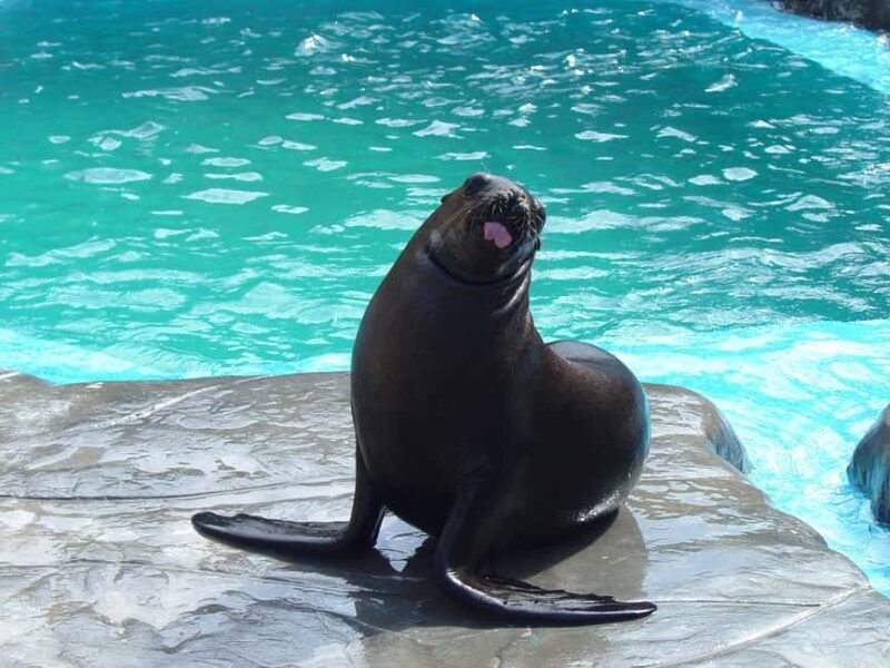 Puerto Plata: Ocean World Adventure Park Day Pass - Key Points