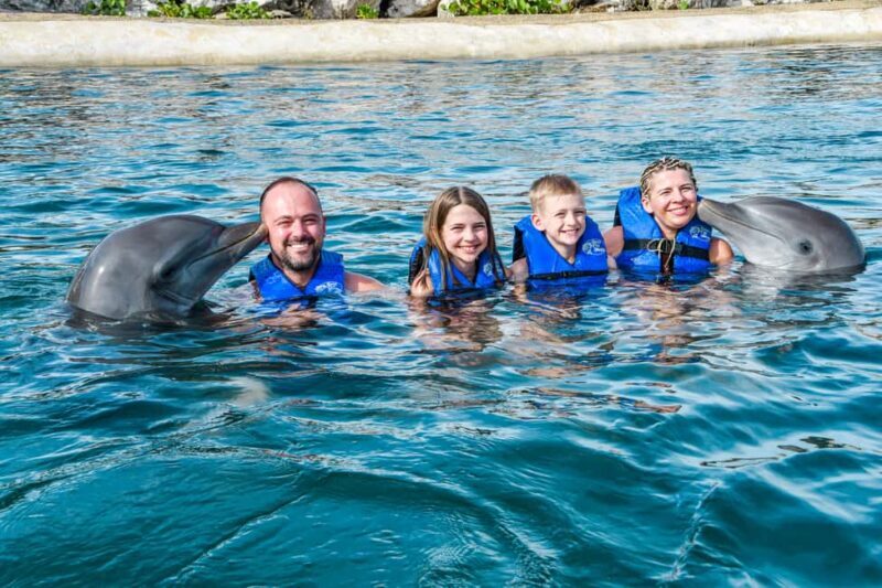 Puerto Plata: Ocean World Adventure Park Swim with Dolphins - Overall Value and Who Will Love This Tour