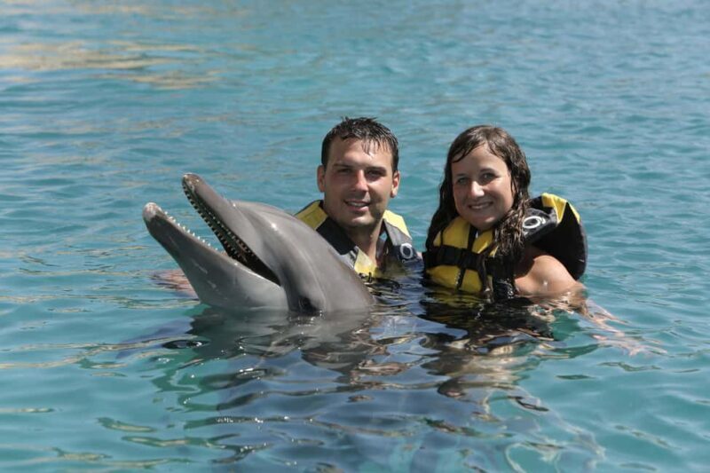 Puerto Plata Ocean World Dolphin Swim - Key Points