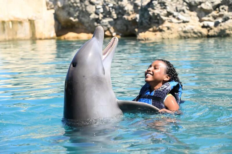 Puerto Plata Ocean World Dolphin Swim - What to Expect from the Dolphin Swim Experience