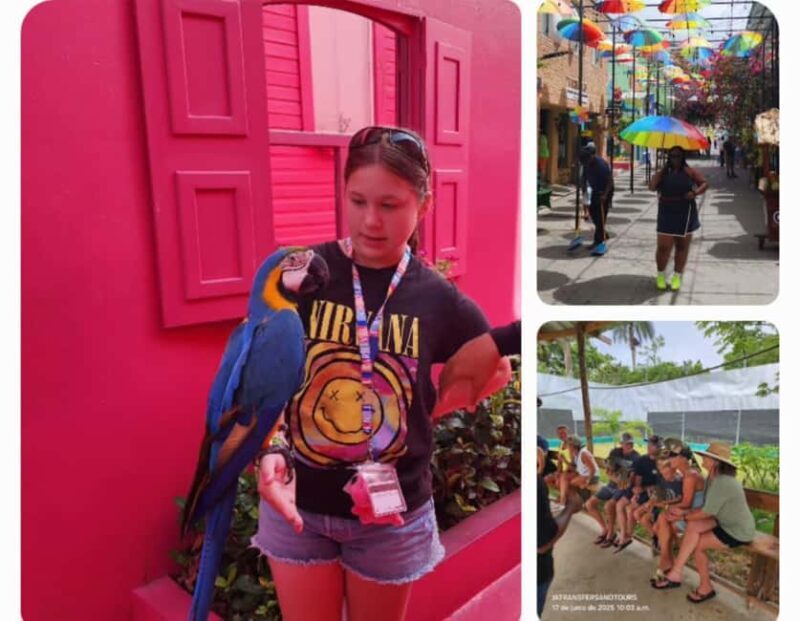 Puerto Plata: Panoramic Tours, Butterfly Garden, Countryside Views - The Sum Up