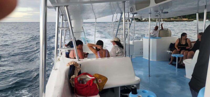 Puerto Plata: Party Catamaran to Sosua Bay - Authentic Experiences and What Travelers Say