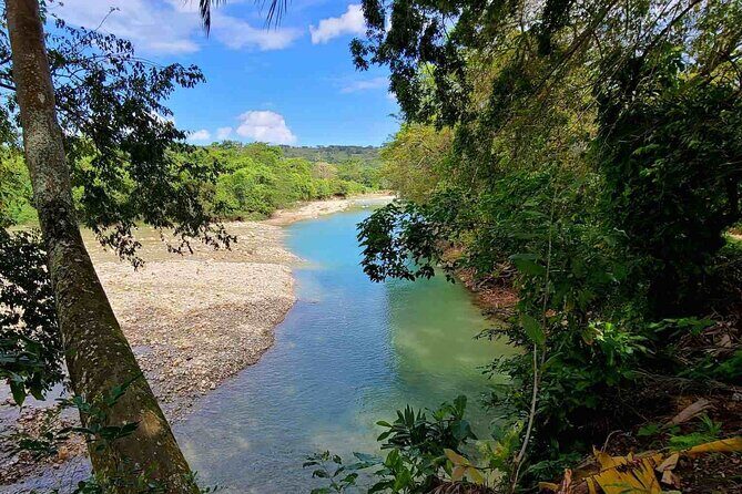 Puerto Plata Rejoya River Excursion Amber Cove Taino Bay Hotels - Key Points