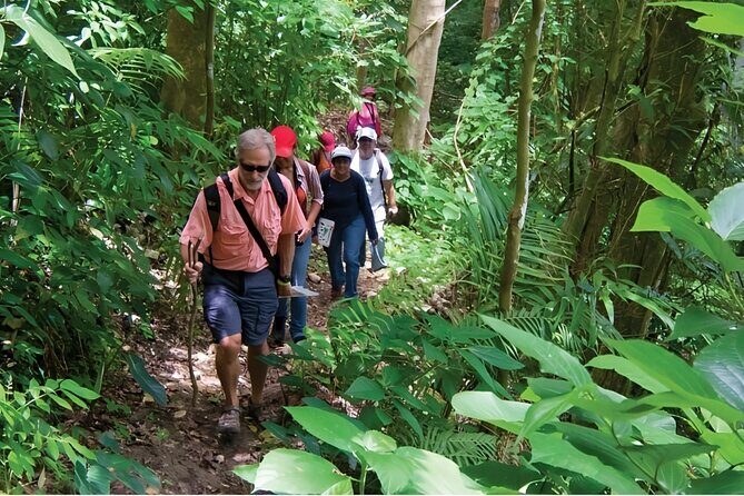 Puerto Plata Rejoya River Excursion Amber Cove Taino Bay Hotels - Who Should Consider This Tour?