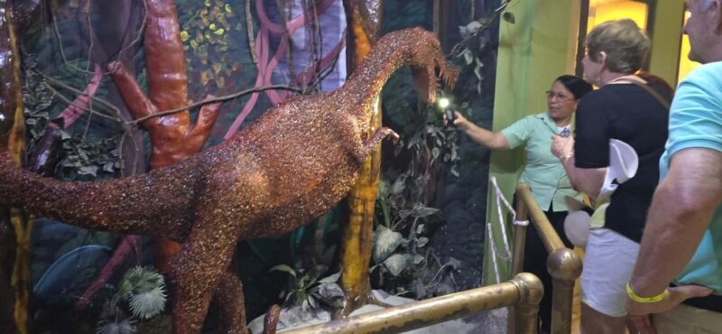 Puerto Plata: Scenic City Tour with Mount Isabel and Lunch - Considerations and Tips