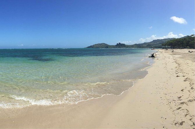 Puerto Plata Shore Excursion: ATV adventure for Amber Cove & Taino Bay Passenger - Key Points