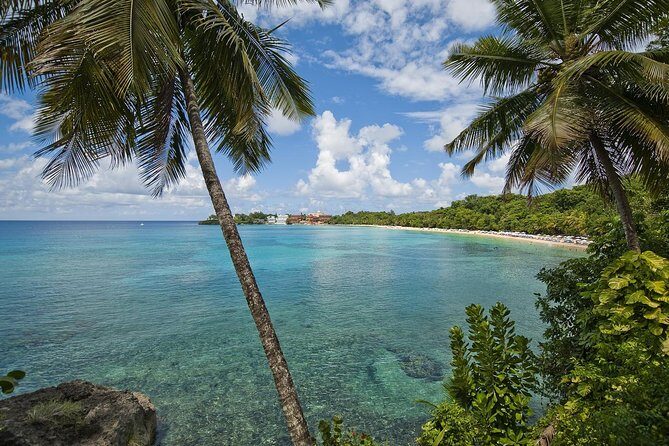 Puerto Plata Shore Excursion, Snorkeling tour & Sosua Beach Day - Final Thoughts