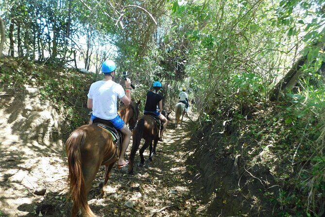 Puerto Plata Sightseeing & Horse Riding | Amber Cove & Taino Bay - A Detailed Look at What You Can Expect