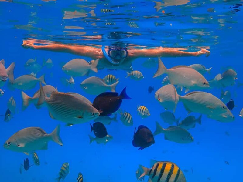 Puerto Plata: Snorkeling Excursion to Sosúa beach - Key Points