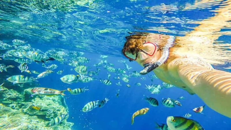 Puerto Plata: Sosúa Bay Snorkeling Tour with Guide - What to Expect on the Sosúa Bay Snorkeling Tour