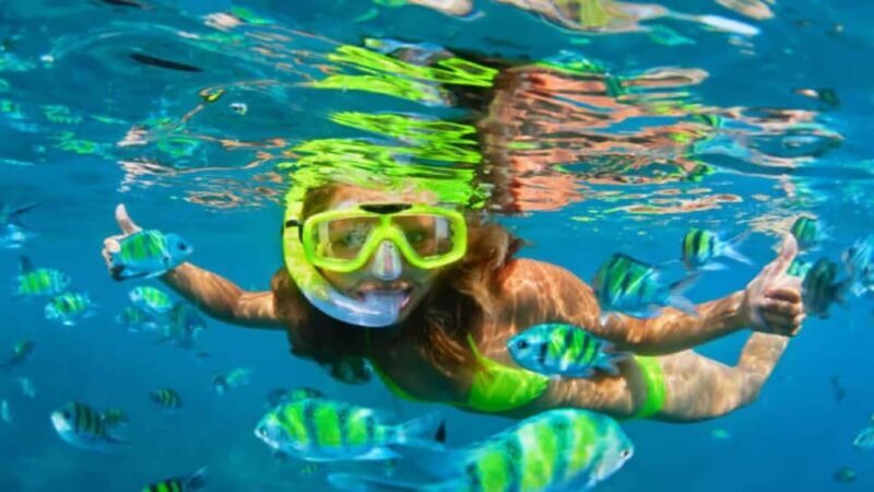 Puerto Plata: Sosúa Bay Snorkeling Tour with Guide - The Value of This Snorkeling Tour