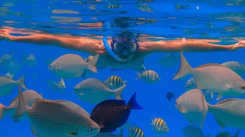 Puerto Plata: Sosúa Bay Snorkeling Tour with Guide - Who Will Love This Experience?