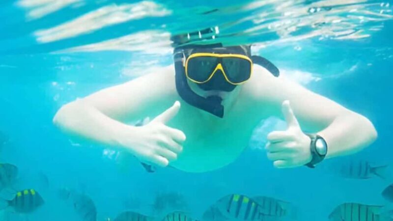 Puerto Plata: Sosúa Bay Snorkeling Tour with Guide - Practical Tips for Your Snorkeling Adventure