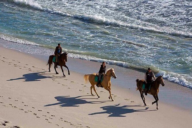 Puerto Plata: Sunset Beach Horseback Riding - Practical Details and Value