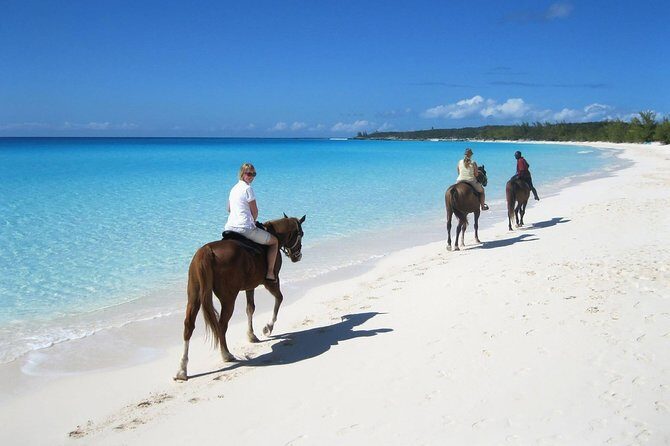 Puerto Plata: Sunset Beach Horseback Riding - Authenticity and Reviews