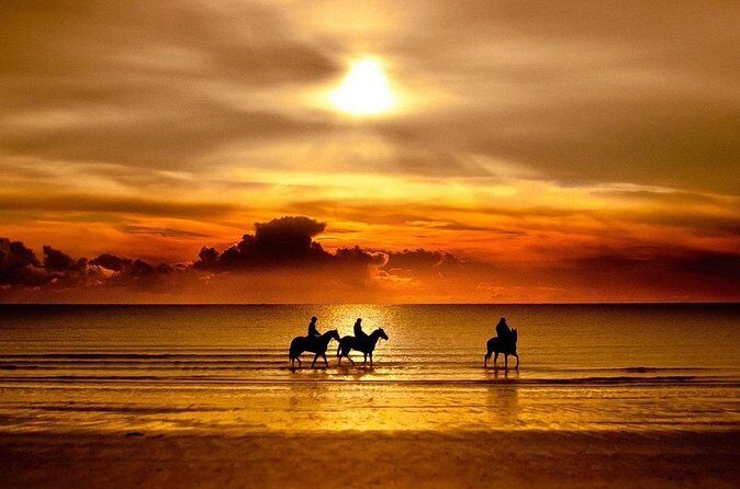 Puerto Plata: Sunset Beach Horseback Riding - Who Should Consider This Tour?