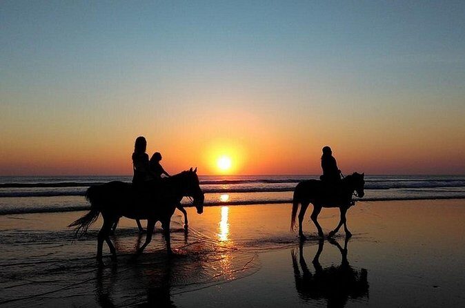 Puerto Plata: Sunset Beach Horseback Riding - FAQ