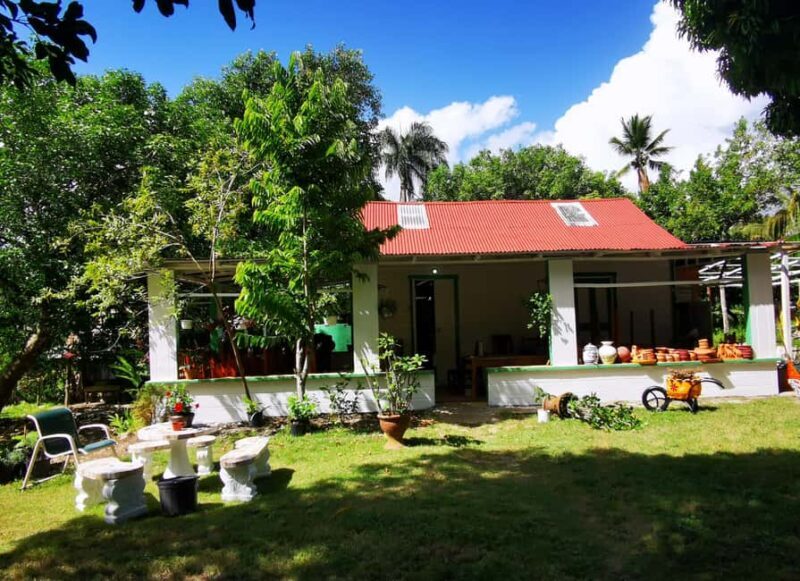 Puerto Plata: Taino Valley and Dominican Flavor Experience - Key Points