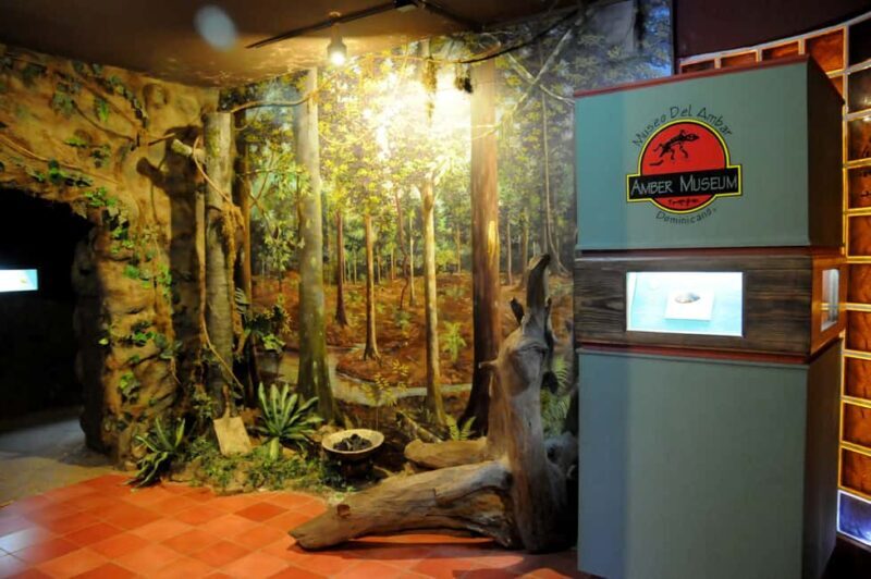 Puerto Plata Tour: History, Culture and Cable Car Ride - The Sum Up