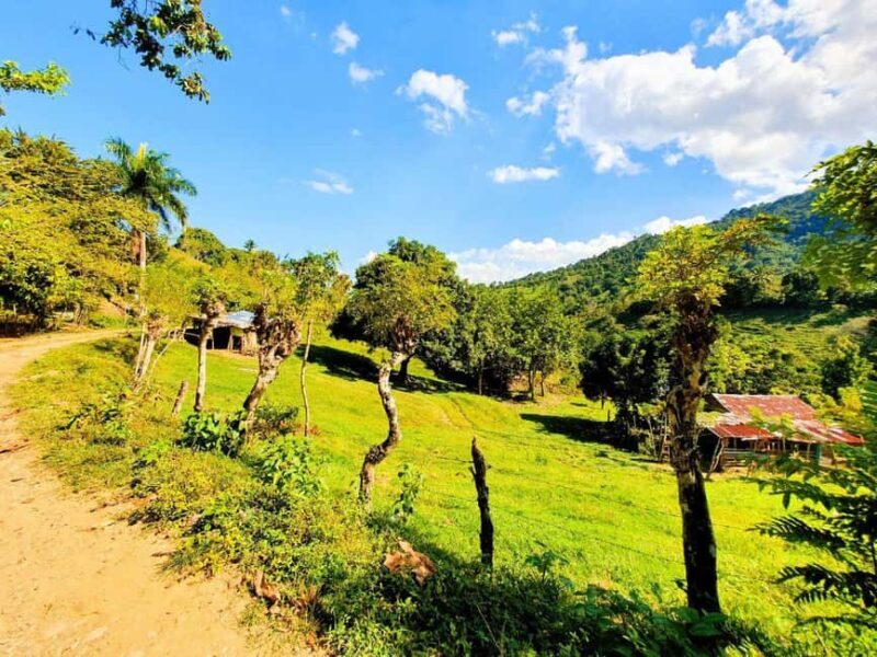 Puerto Plata Trekking - Experience of Nature and Folklore - Who Would Love This Tour?