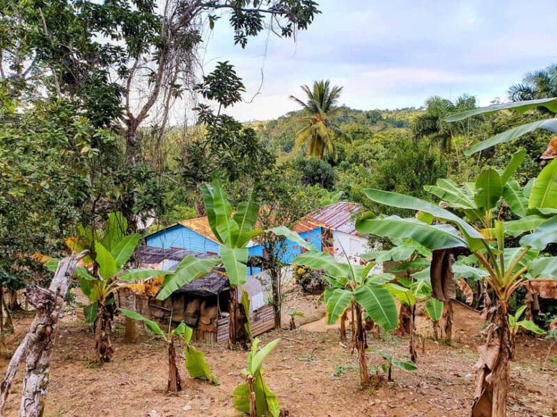 Puerto Plata Trekking - Experience of Nature and Folklore - Practical Details and What to Pack