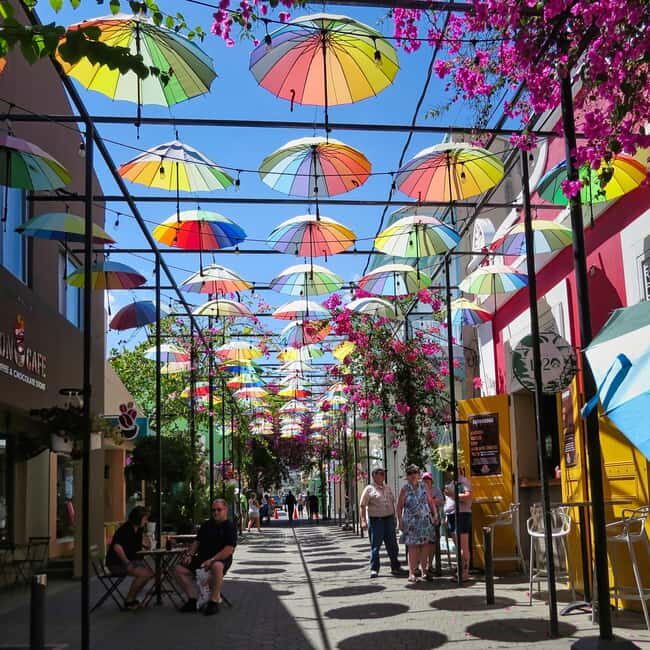 Puerto Plata: Walking Tour with Rum & Chocolate Tastings - Final Thoughts