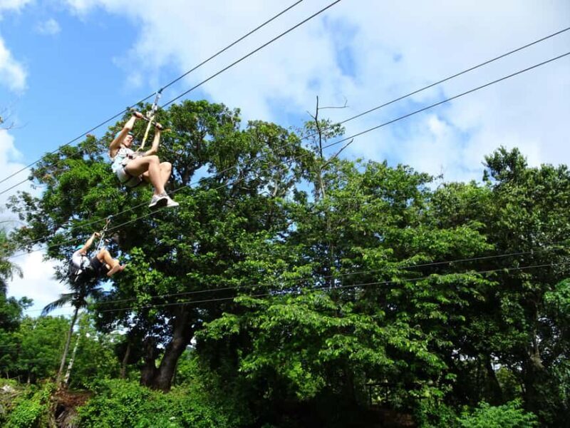 Puerto Plata: Zip Line Adventure - The Zip Lines: A Mix of Speed and Spectacle
