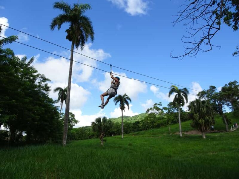 Puerto Plata: Zip Line Adventure - Real Visitor Experiences