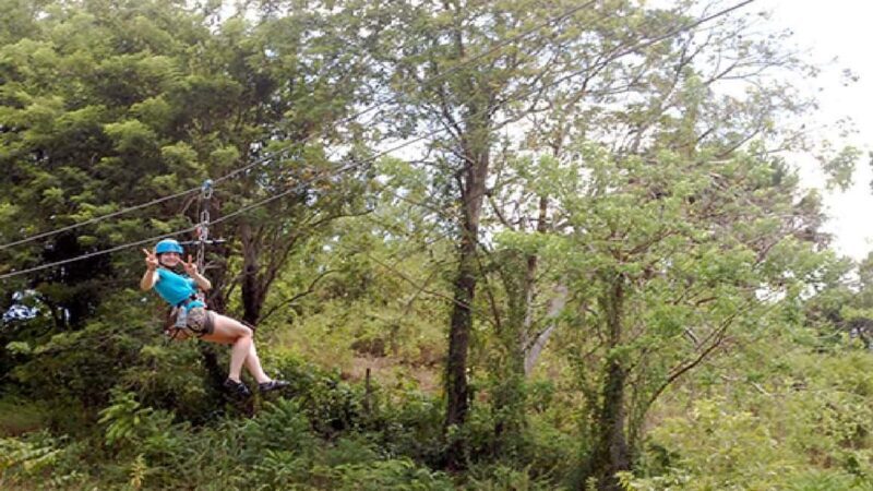 Puerto Plata: Zipline and Waterfall Adventure with Lunch - Key Points