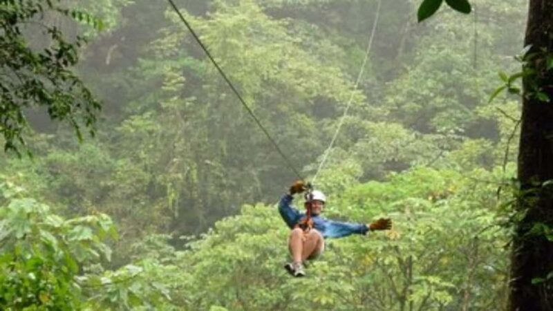 Puerto Plata: Zipline and Waterfall Adventure with Lunch - The Sum Up