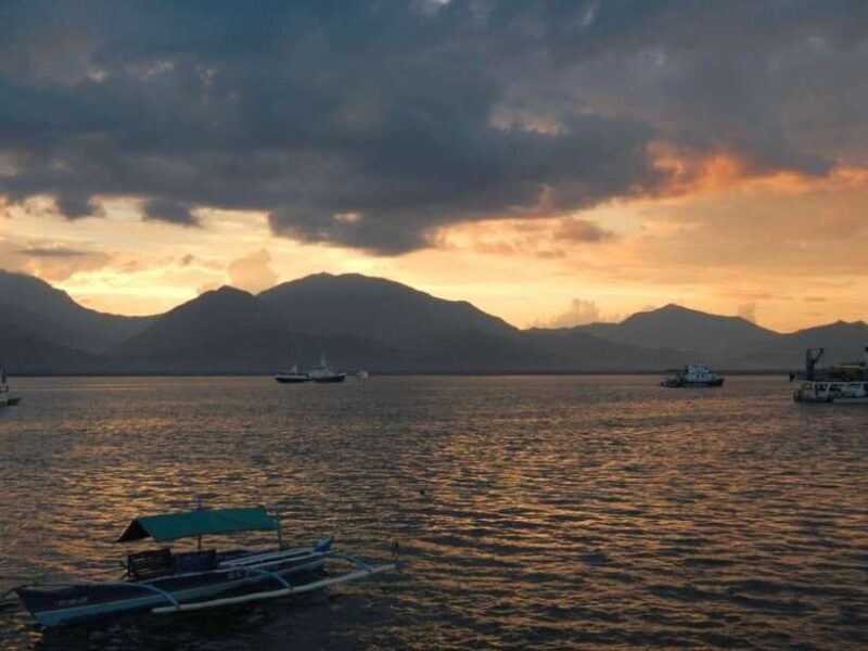 Puerto Princesa: Firefly Watching Bay Cruise with Dinner - FAQs